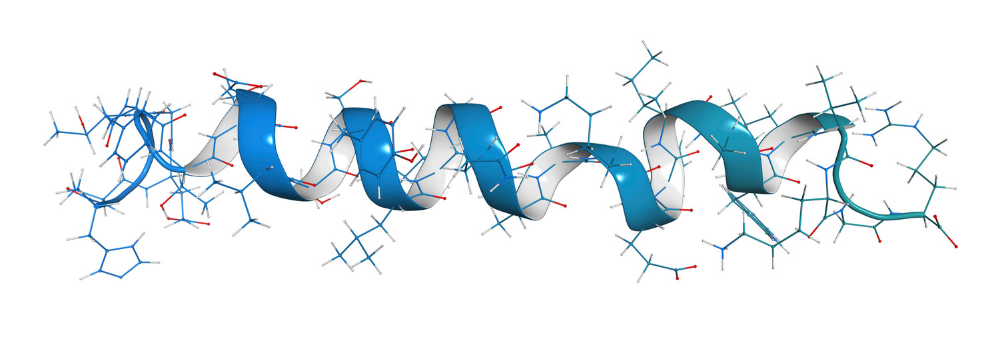 That Protein Blog. Amino acids - What they do and how much do we need ...
